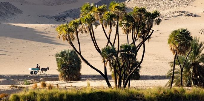 埃及陆地10天**含亚历山大の绿洲法尤姆**_北京青年旅行社股份有限公司官网